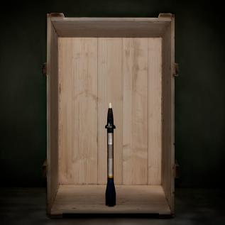 DART | Leonardo - Elettronica